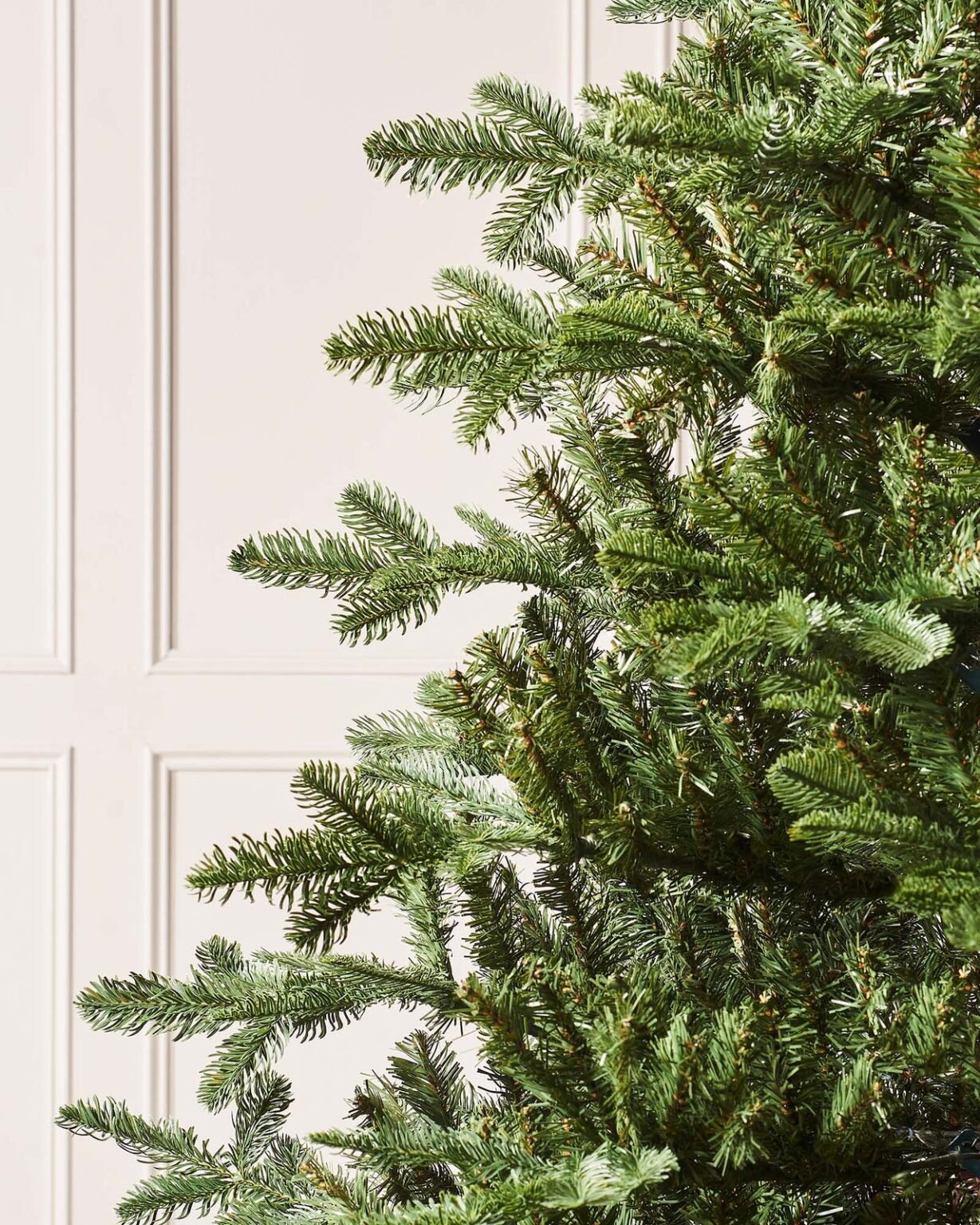 Non Drop Nordman Fir Christmas Tree - 6ft - Cook and Clark Christmas Trees